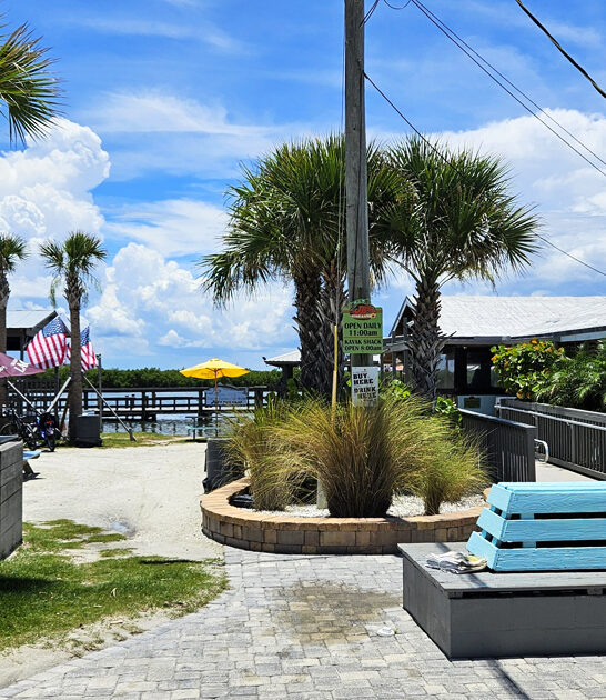 hushpuppies seafood florida delicious ftr