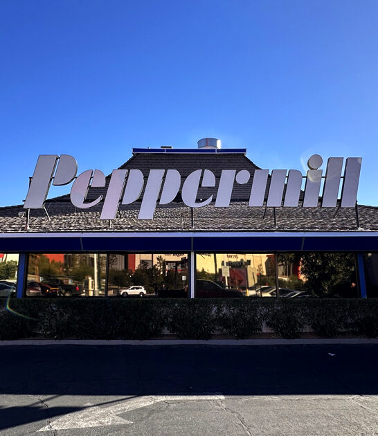 iconic blueberry muffin nevada ftr