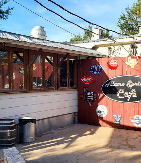 iconic cafe texas fries ftr