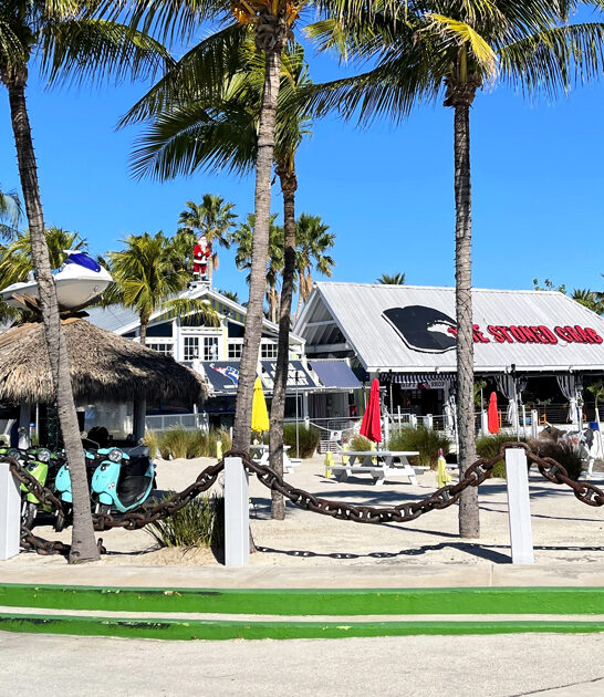 iconic lime pie florida ftr