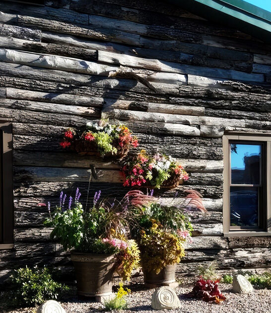 iconic ohio steak ribeye ftr