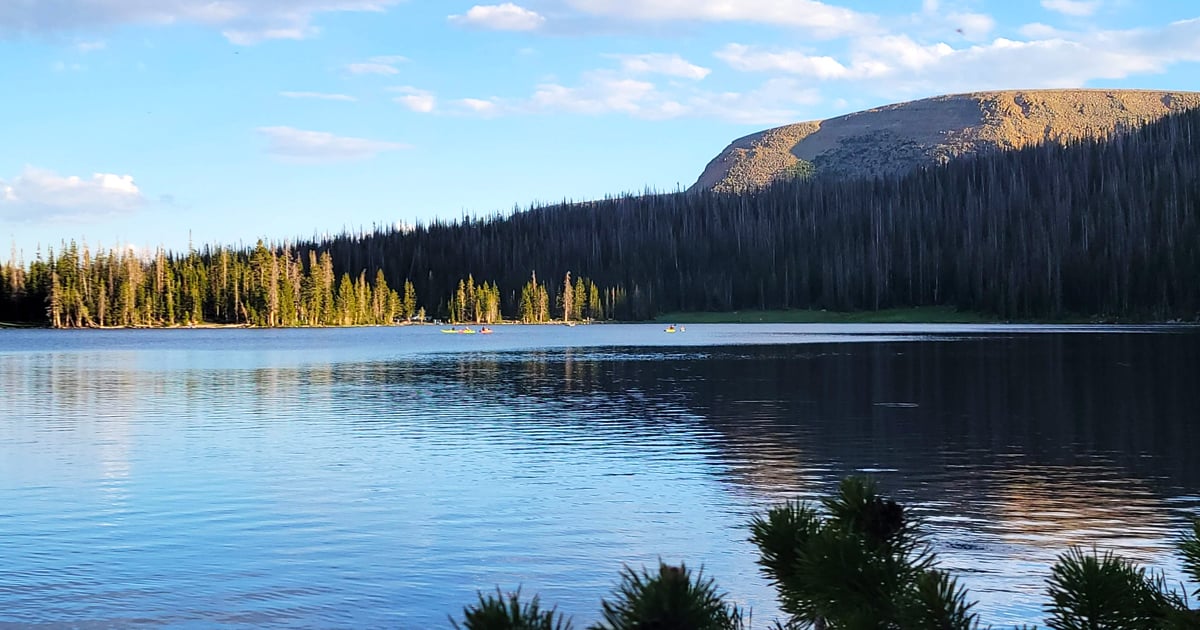 8 Lake Towns In Idaho Where Neighbors Still Wave And Life Moves A Bit ...