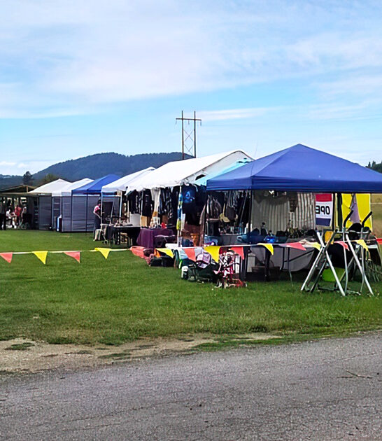 idaho thrift market treasures ftr
