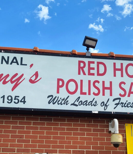 illinois downhome hotdog joints ftr