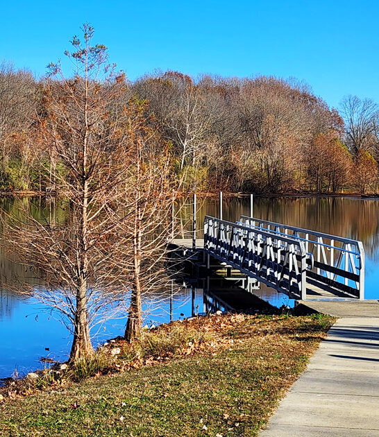illinois dreamy state park ftr