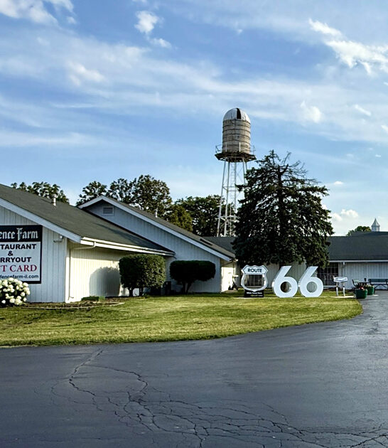 illinois fried chicken spots ftr