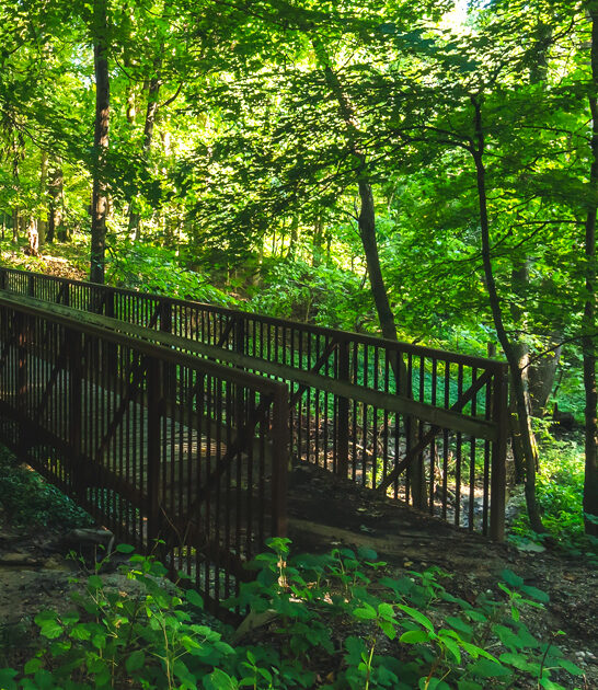 illinois peaceful state park ftr