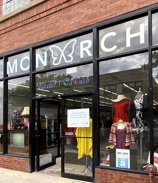illinois thrift shop bargains ftr