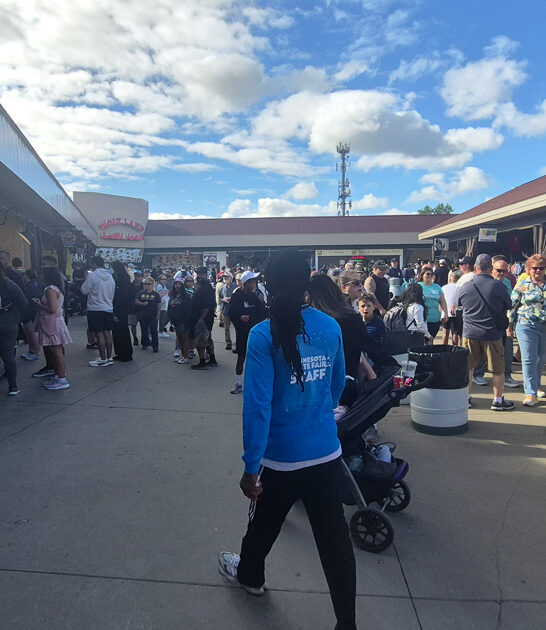 immense bazaars minnesota ftr