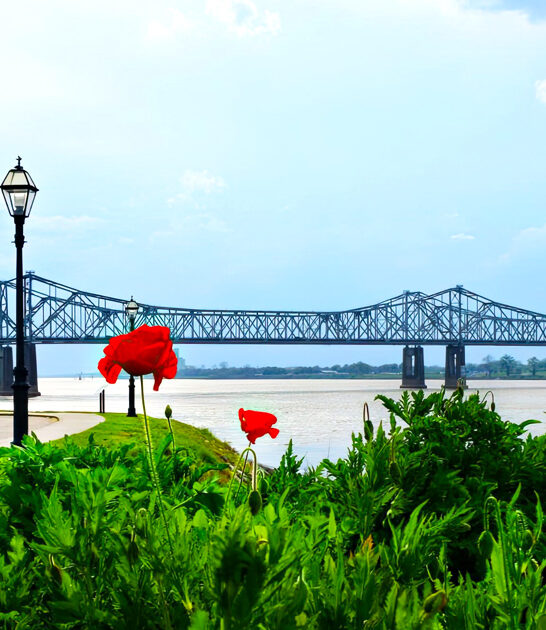 incredible amazing trips mississippi ftr