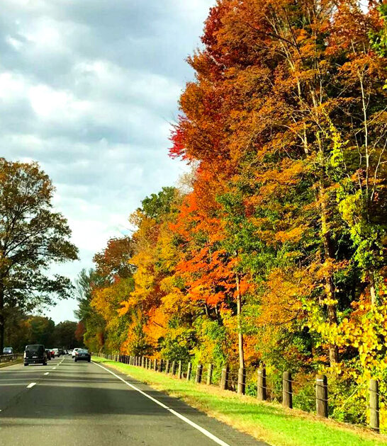 incredibly scenic drive connecticut ftr
