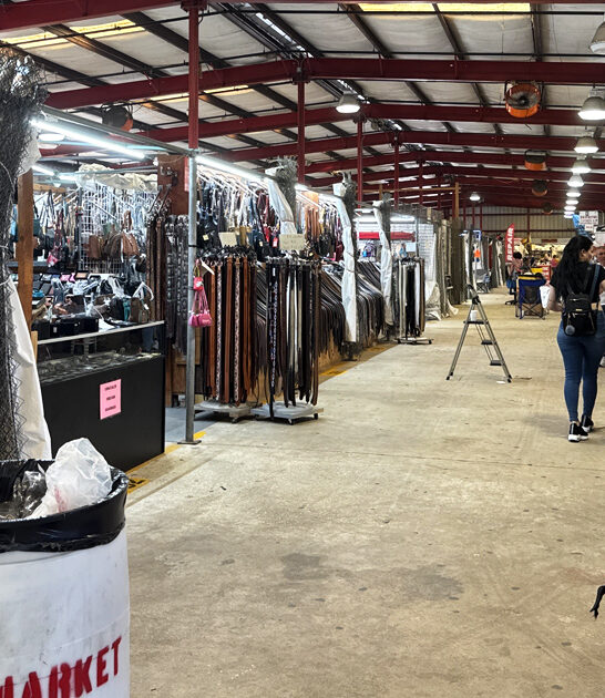 indoor florida flea haven ftr