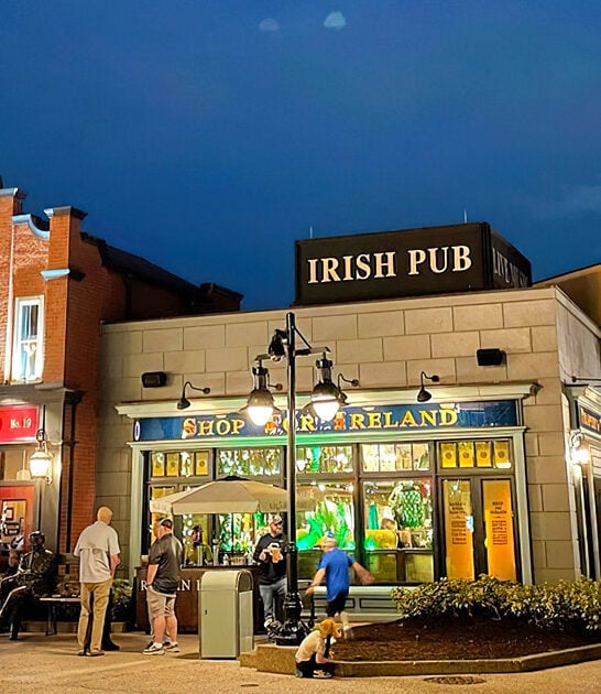 irish egg florida pub ftr