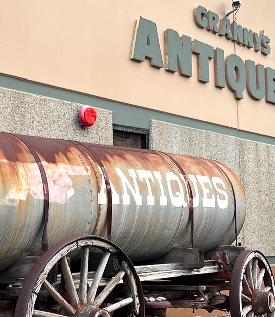 junk shop enormous california ftr