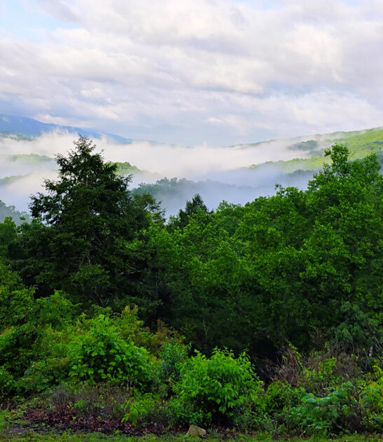 kentucky breathtaking state park ftr