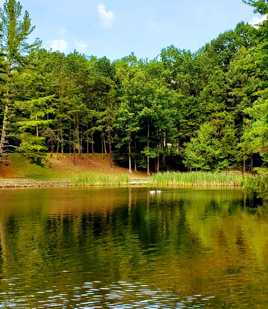kentucky gorgeous park relax ftr
