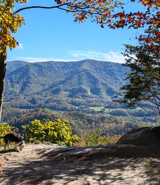 kentucky state park ftr