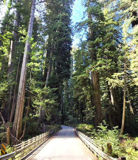 known state park california ftr