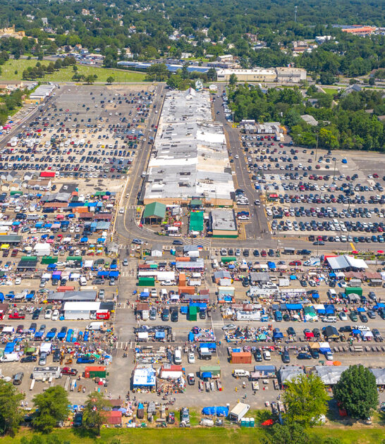 largest flea new jersey ftr