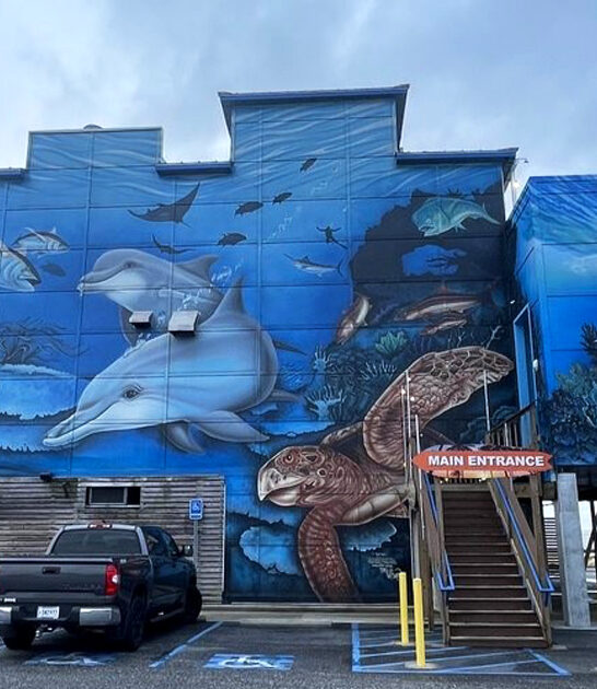 legendary mississippi oyster restaurant ftr
