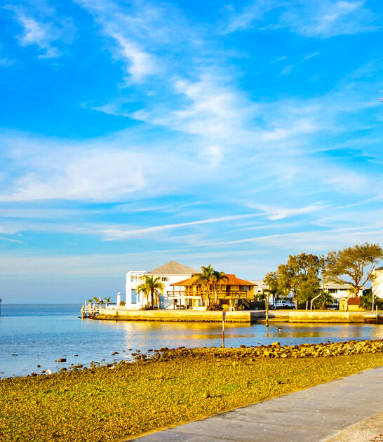 lighter life town florida ftr