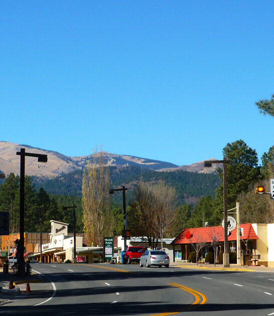 little life new mexico ftr