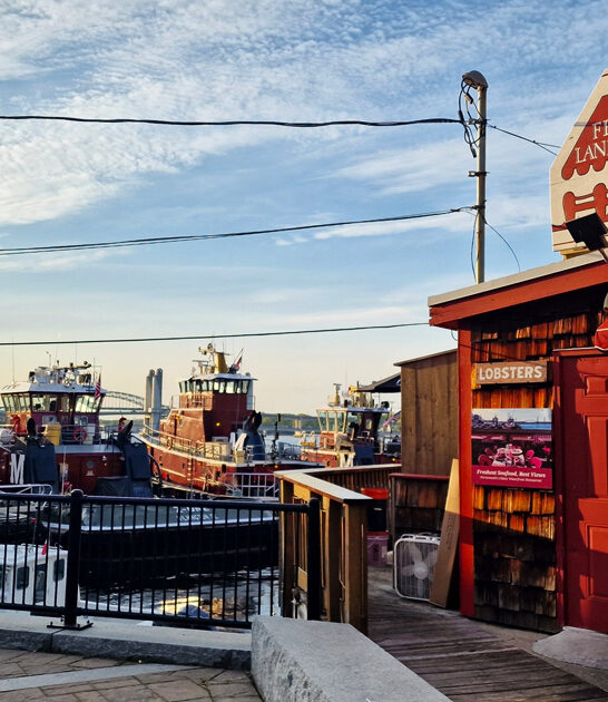 lobster new hampshire bisque ftr