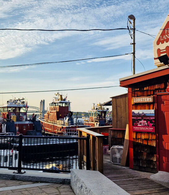 lobster new hampshire rolls ftr