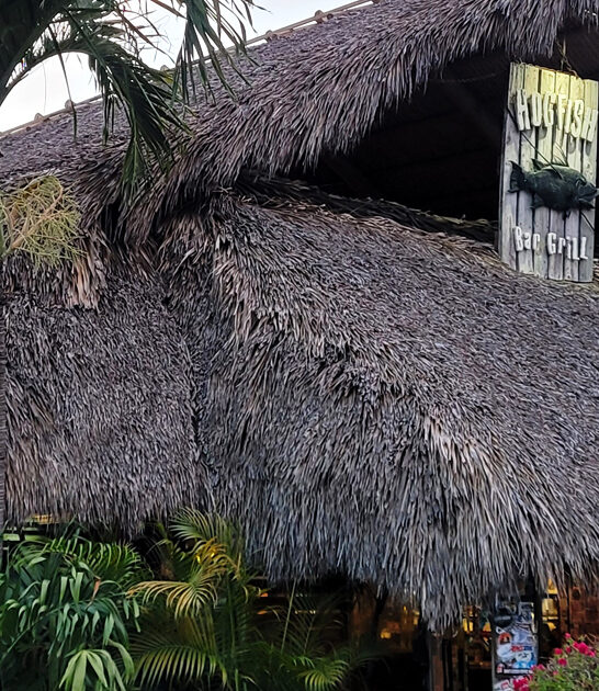 lobster roll florida joint ftr