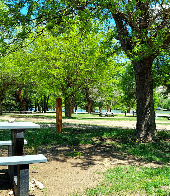lovers nature kansas park ftr