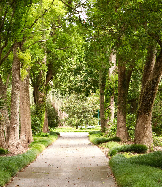 magical garden florida trip ftr