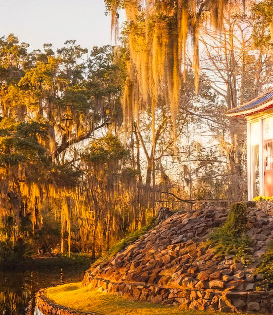 magical garden louisiana perfect ftr