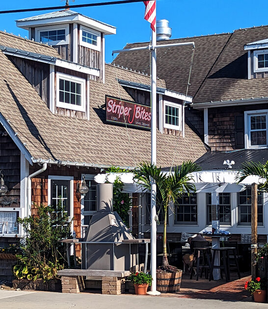 mahi fish tacos delaware ftr