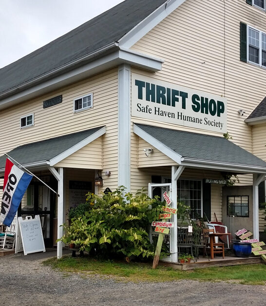 maine resale store discoveries ftr