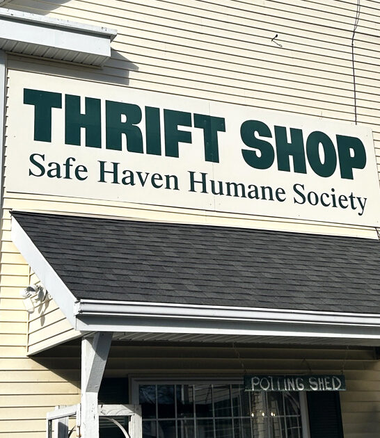 maine secondhand shopping adventure ftr