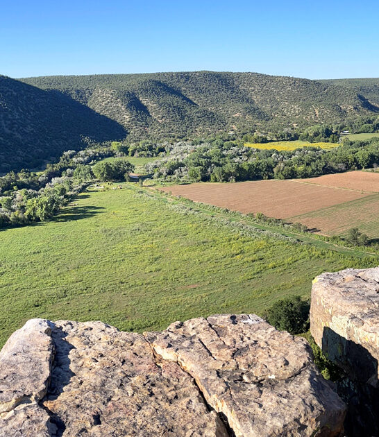 majestic park new mexico ftr