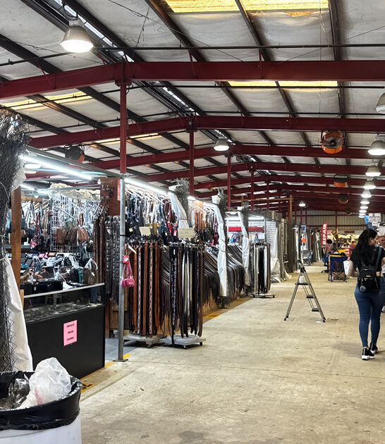 market enormous flea florida ftr
