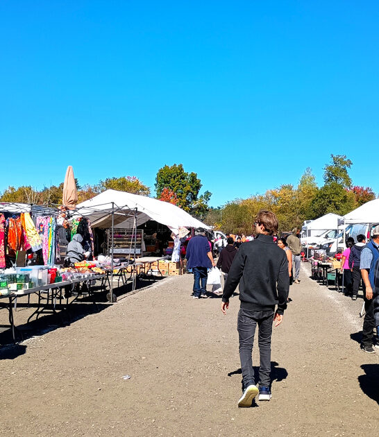 market finds new hampshire ftr