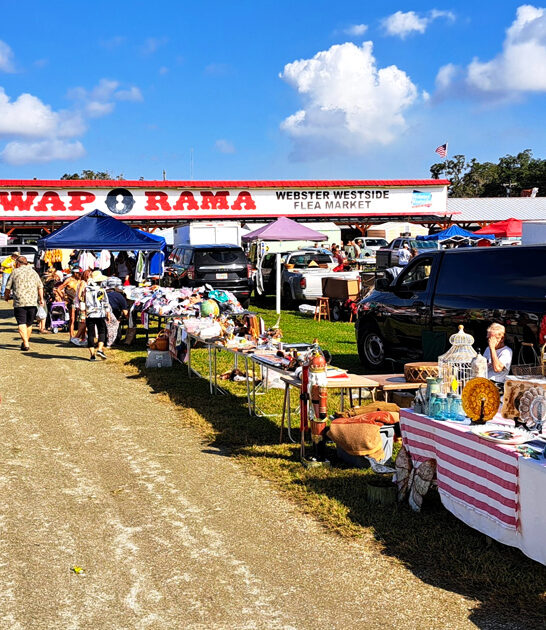 market florida bargain paradise ftr
