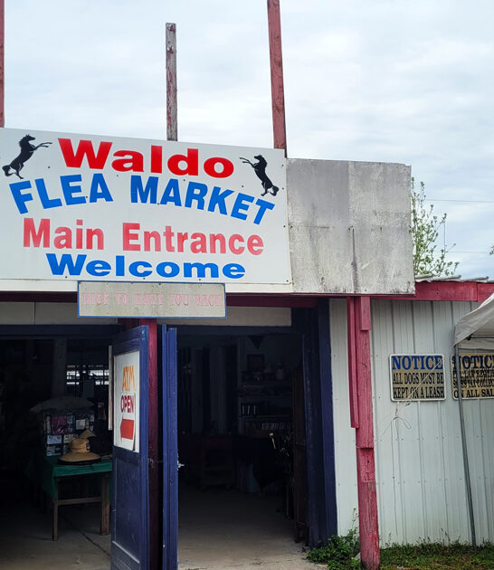 market florida treasures cheap ftr