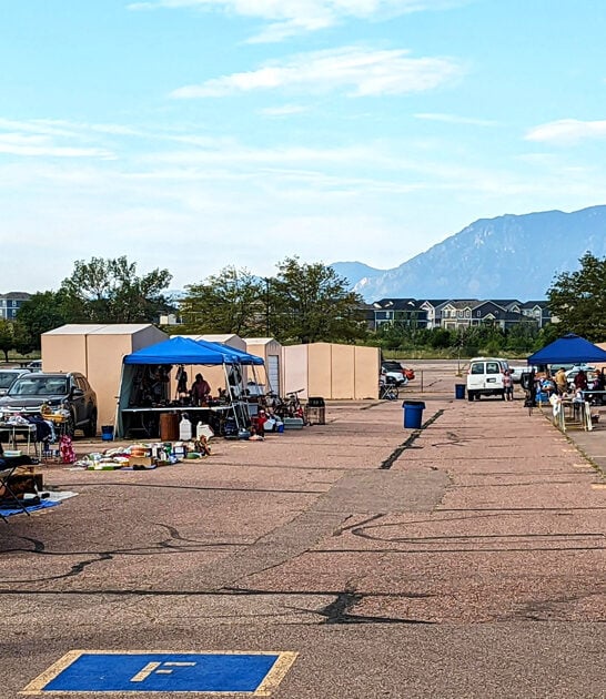 market gigantic colorado flea ftr