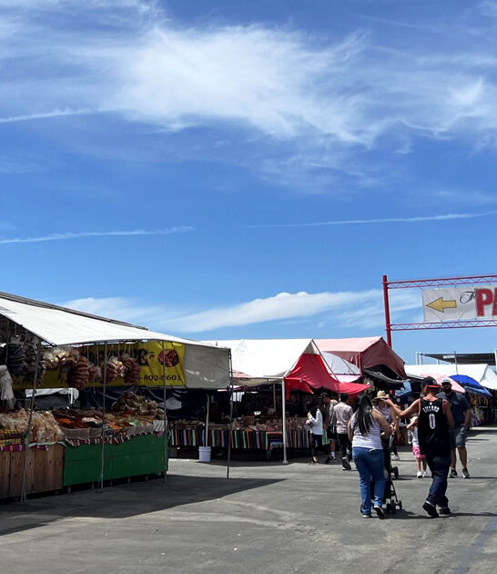 market huge flea california ftr