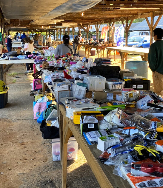 market south carolina bargain FTR