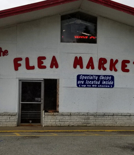 market virginia massive flea ftr