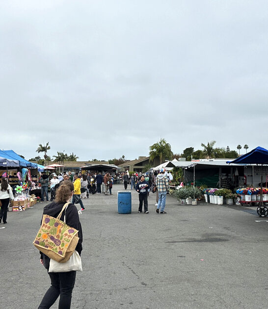 markets california enormous flea ftr