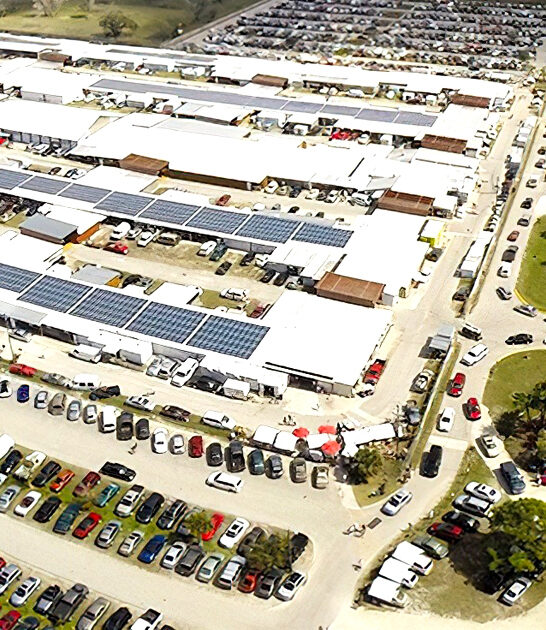 markets florida enormous flea ftr