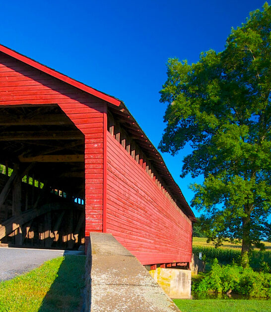 maryland bridge covered postcard ftr