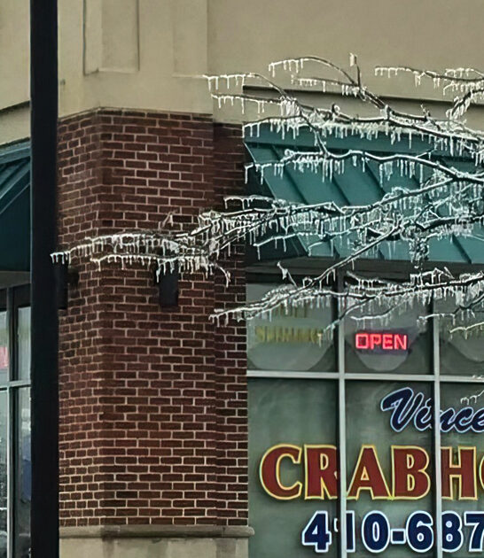 maryland crab house ftr