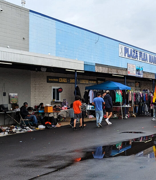 maryland shops flea market ftr