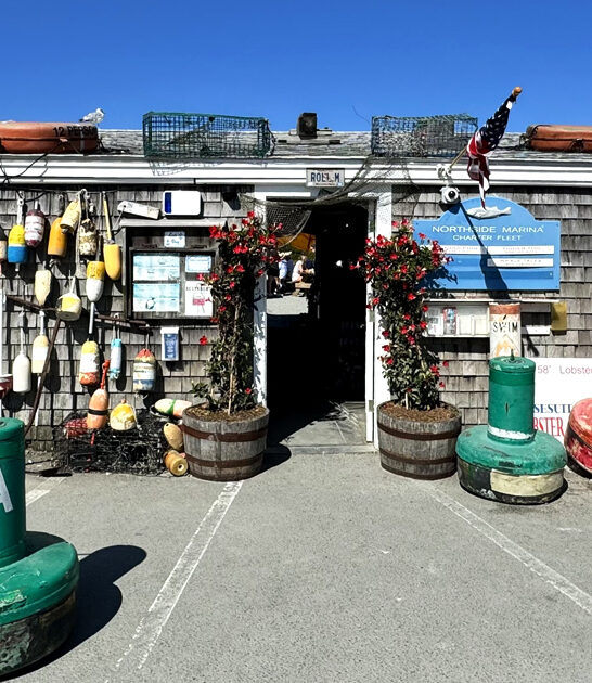 massachusetts seafood restaurant drive ftr